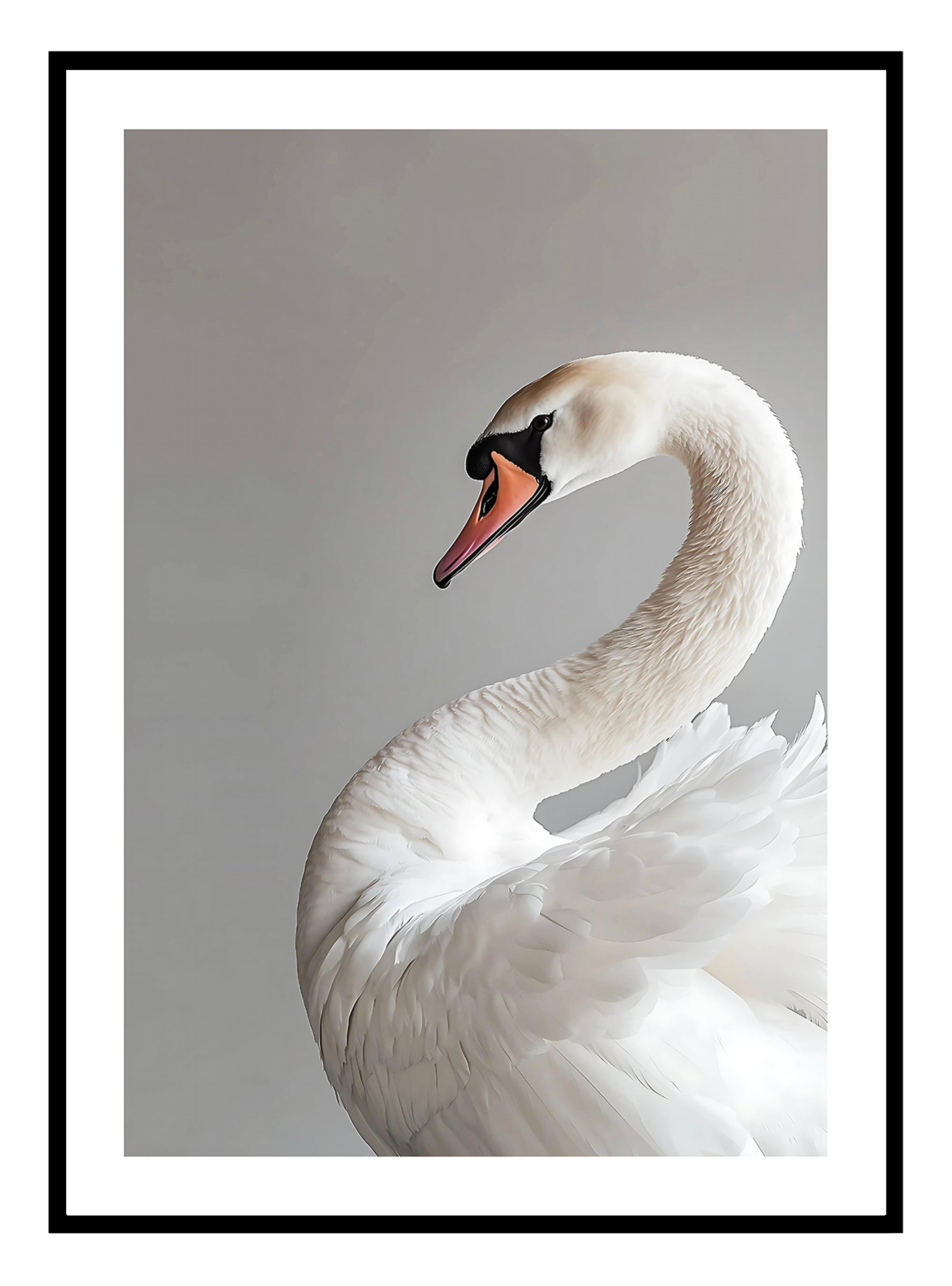 Serene Swan (M) Art Print – Jasmine and Jade Interiors