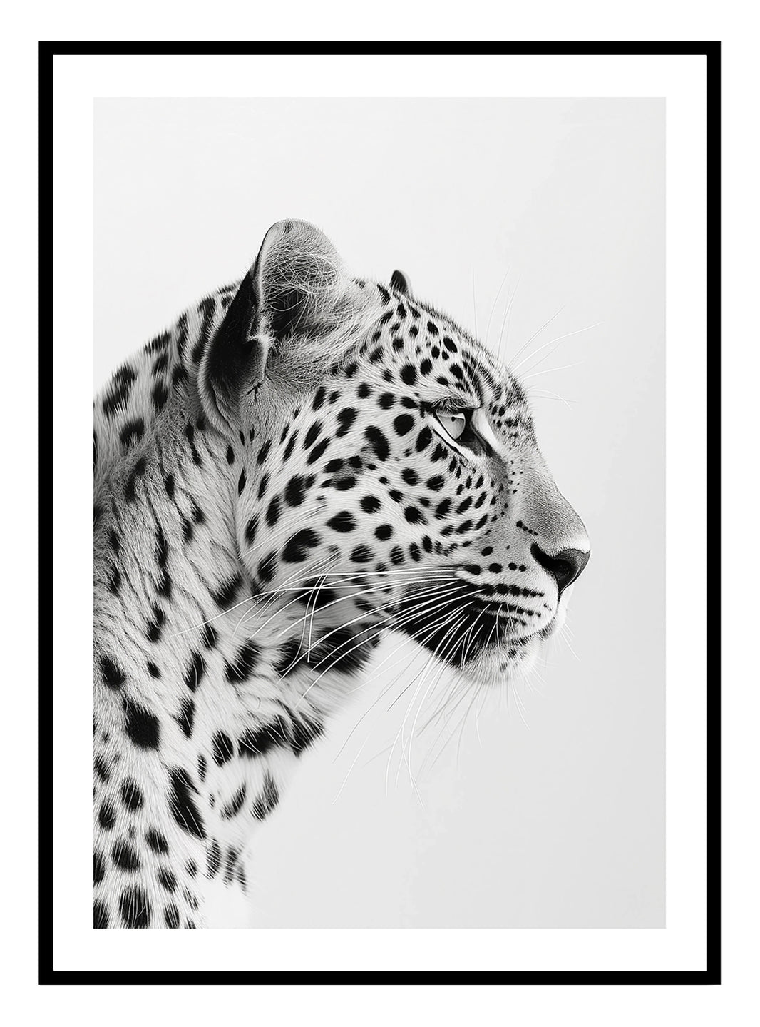 Animals & Botanicals Art Prints – Jasmine and Jade Interiors