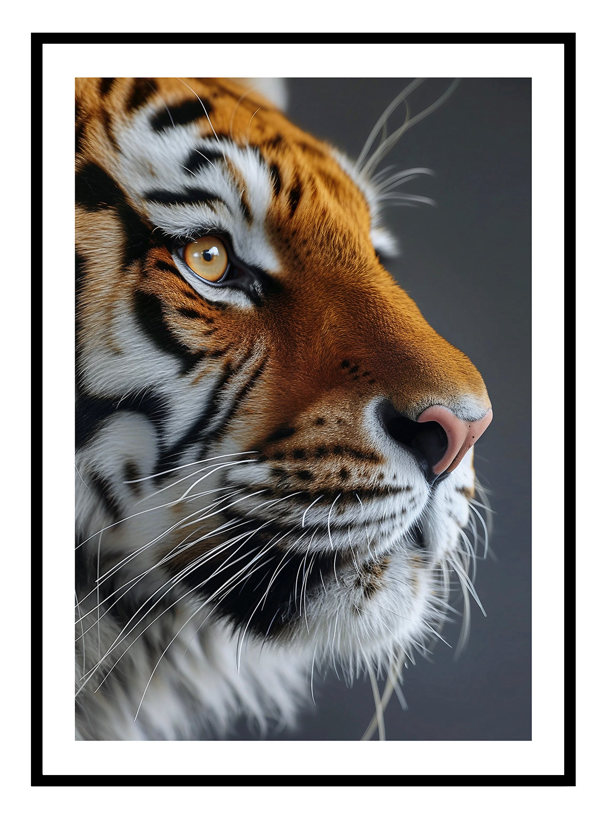Animals & Botanicals Art Prints – Jasmine and Jade Interiors