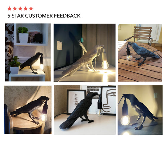 Nordic Raven Table Lamp - Black or White – Jasmine and Jade Interiors